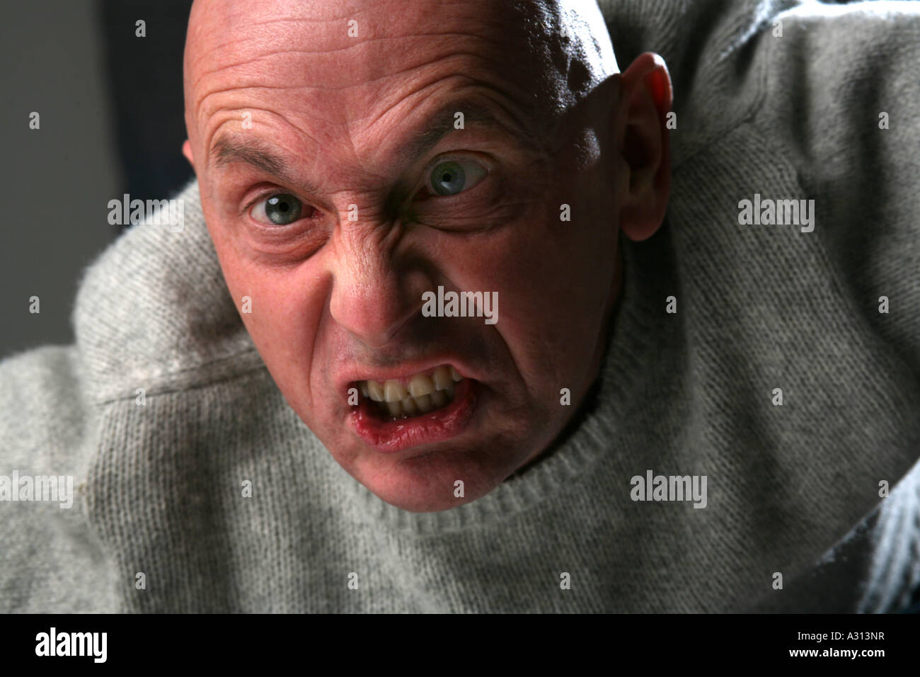 Studio shoot of angry bald man Stock Photo - Alamy