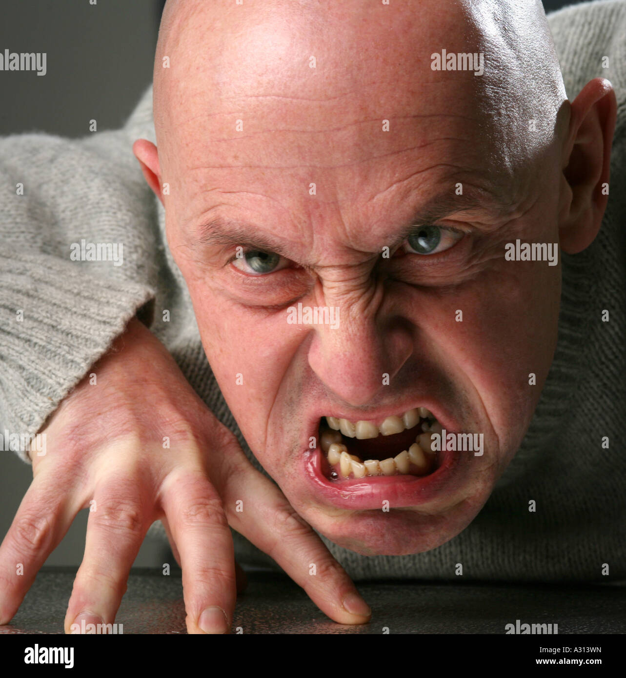 Studio shoot of angry bald man Stock Photo - Alamy