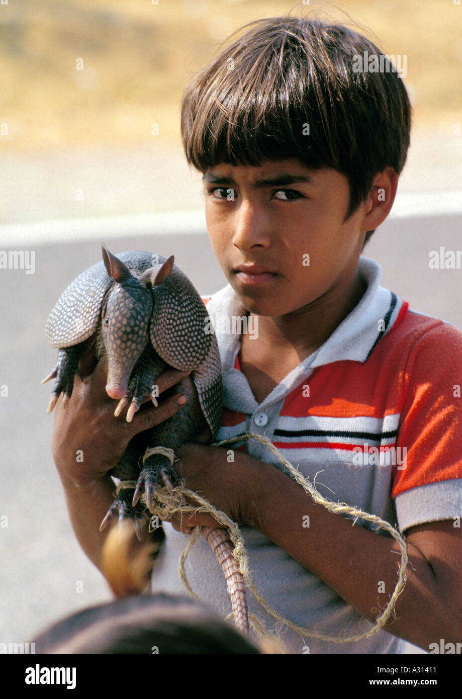 Boy with Armadillo Taxco Puebla Mexico Stock Photo - Alamy