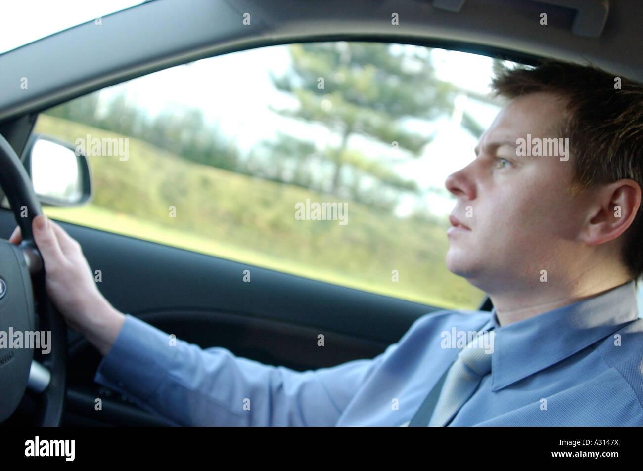 Royalty free photograph of British business driver commuter driving ...