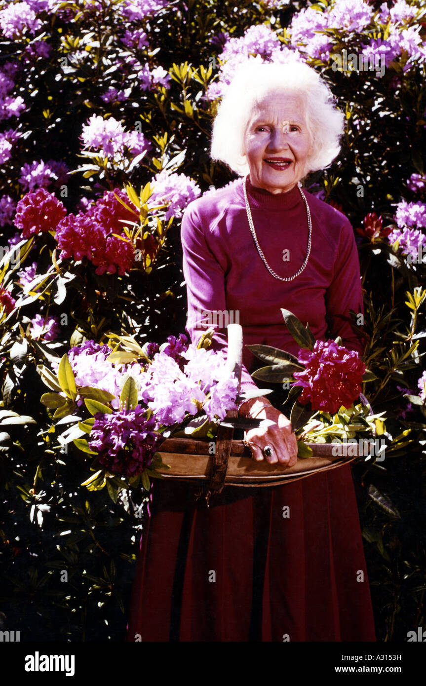 British old lady pensioner sunny hi-res stock photography and images ...