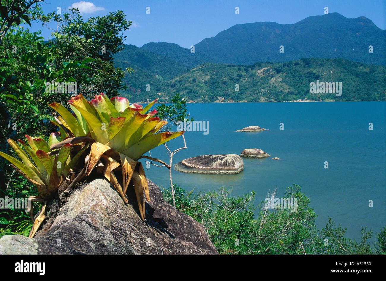 View of inlet along Atlantic coast with the Serra do Mar mountain range ...