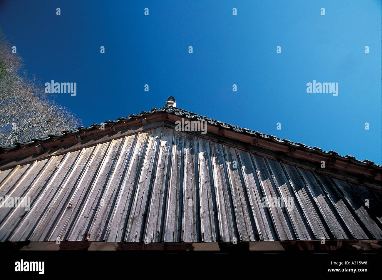 Roof Tile,Tree,Bare Tree,Single Object Tree,Sky,Cl Stock Photo - Alamy