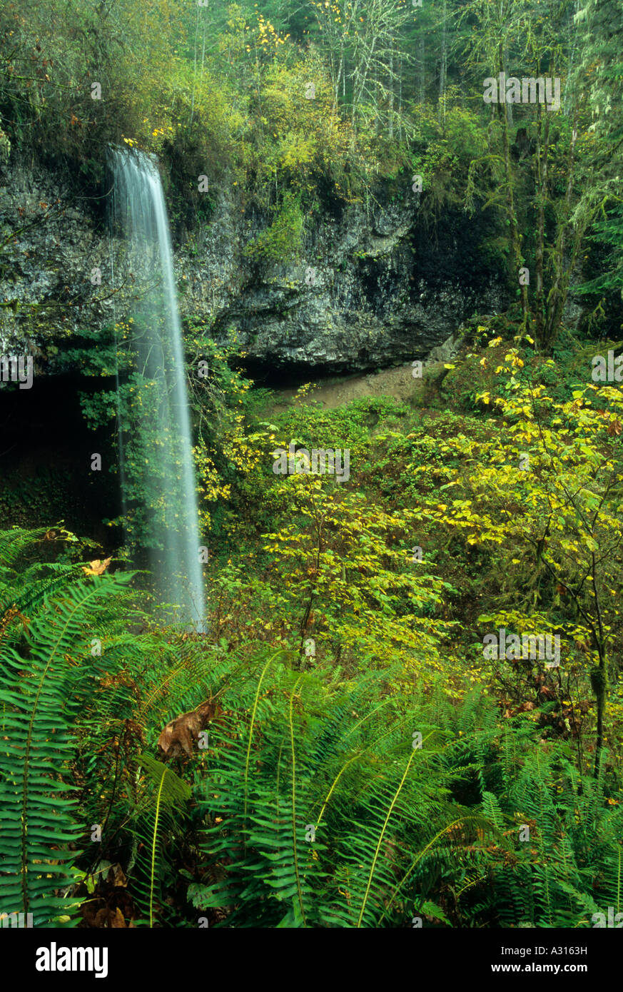 Shellburg Falls in the Santiam State Forest, Cascade Mountain Range ...