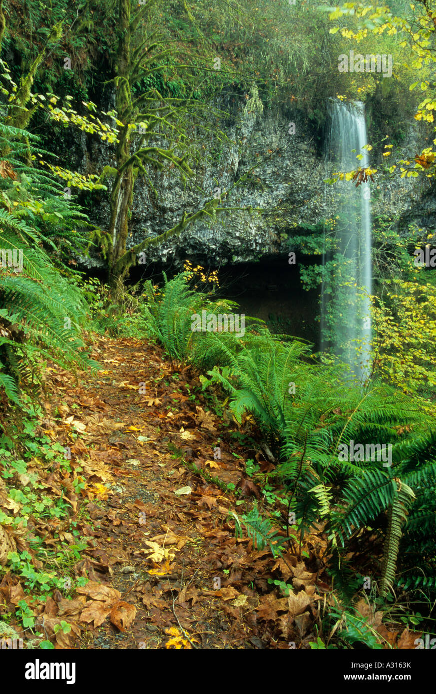 Shellburg Falls in the Santiam State Forest, Cascade Mountain Range ...