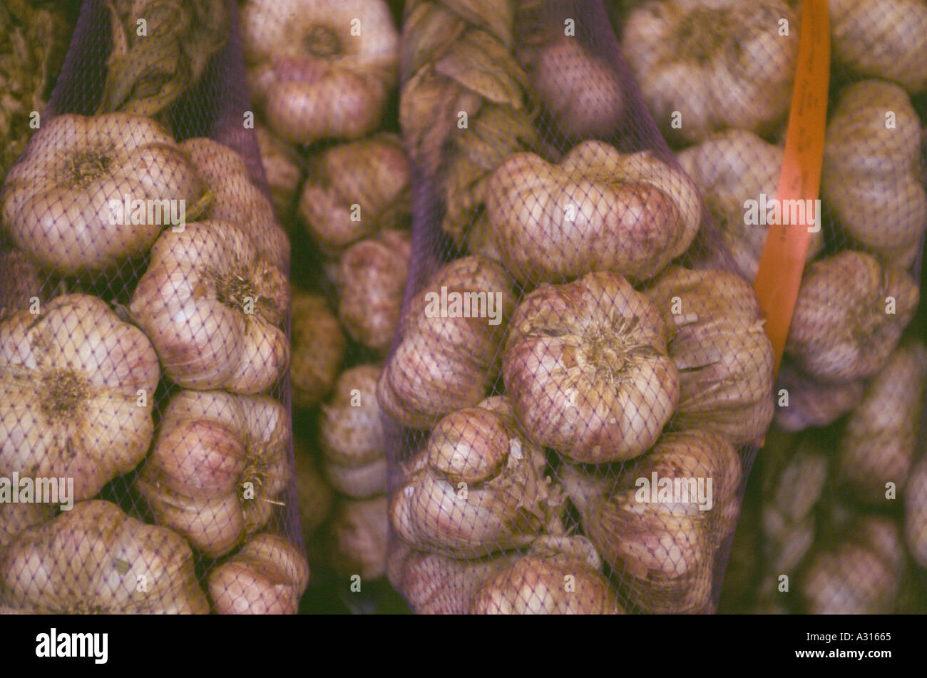 Garlic in nets France Stock Photo - Alamy