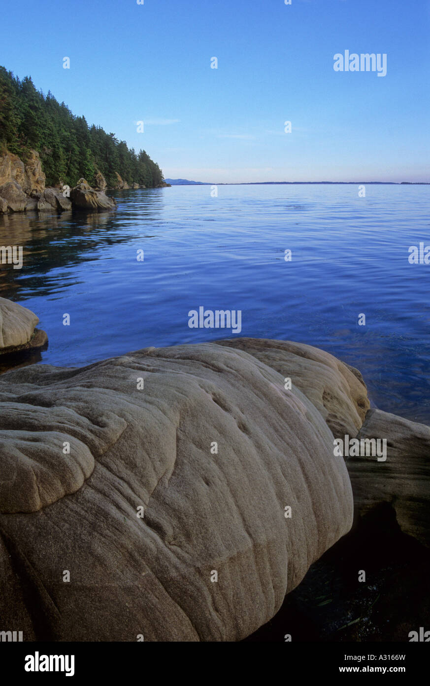 Larrabee State Park Washington High Resolution Stock Photography and ...