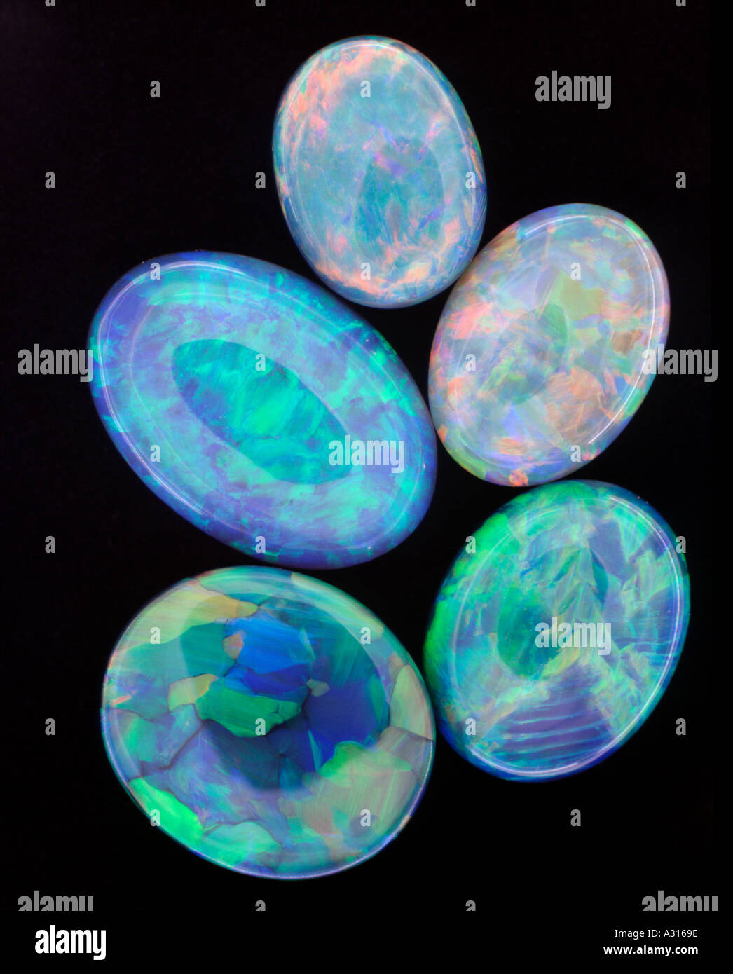 Five Australian Opals photographed at Gemstone Dealer London UK Stock ...