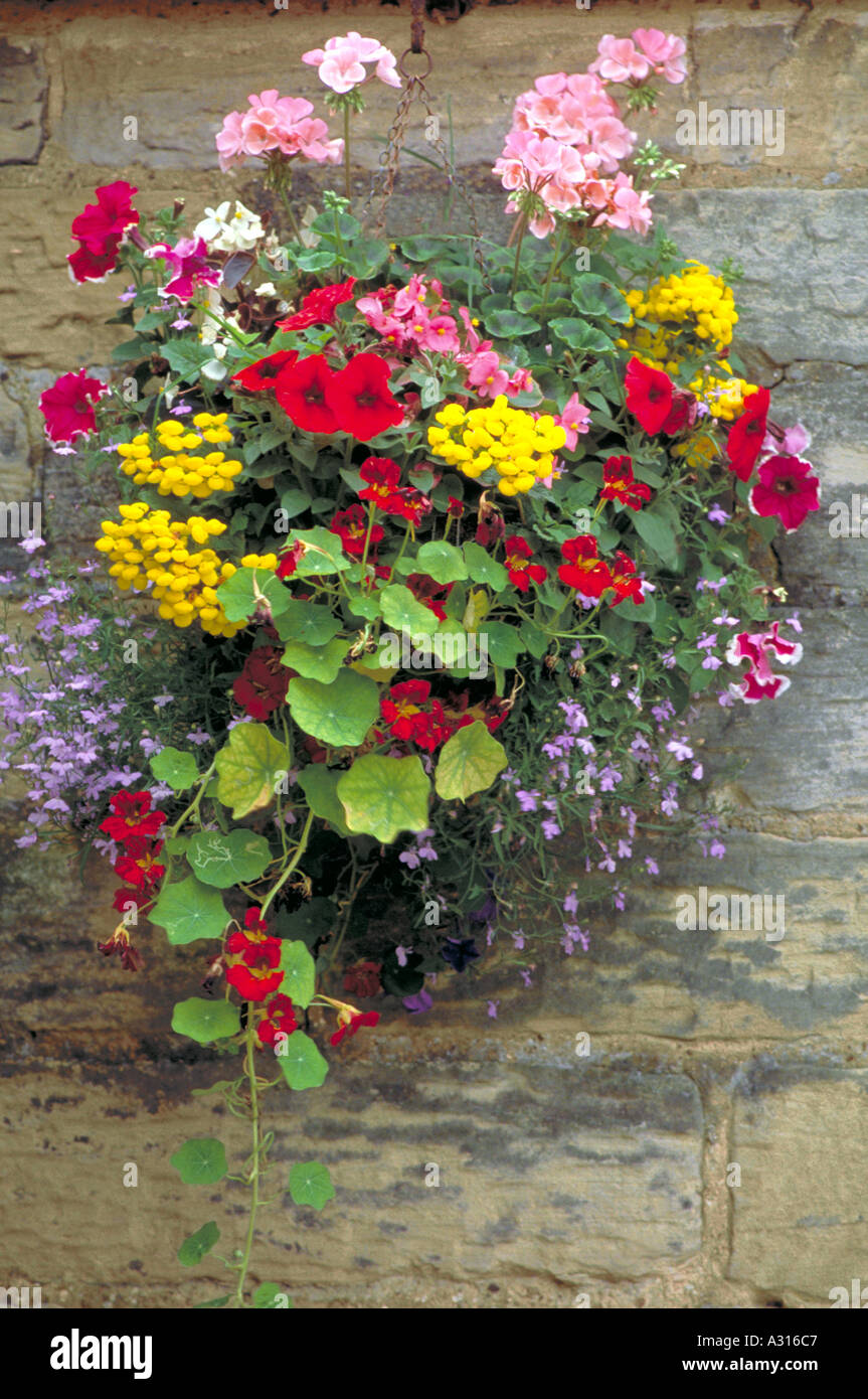 Hanging Flower Basket Stock Photo - Alamy