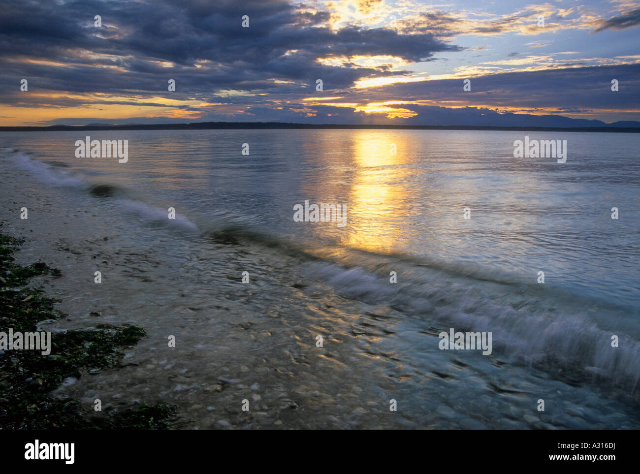 Sunset over Puget Sound at Golden Gardens Park in the Seattle Metro ...