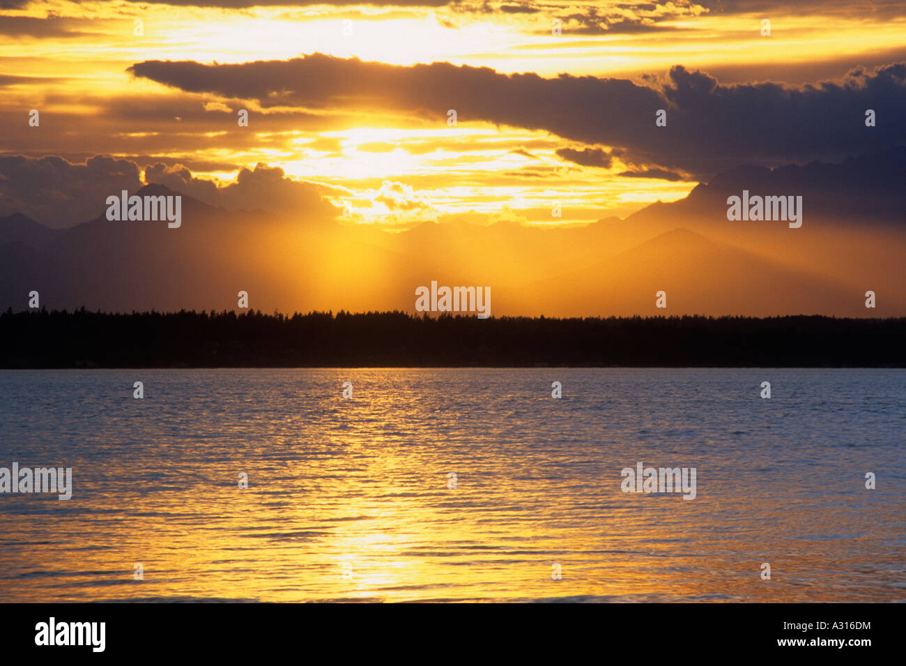 Sunset over Puget Sound and the Olympic Mountain Range at Golden ...
