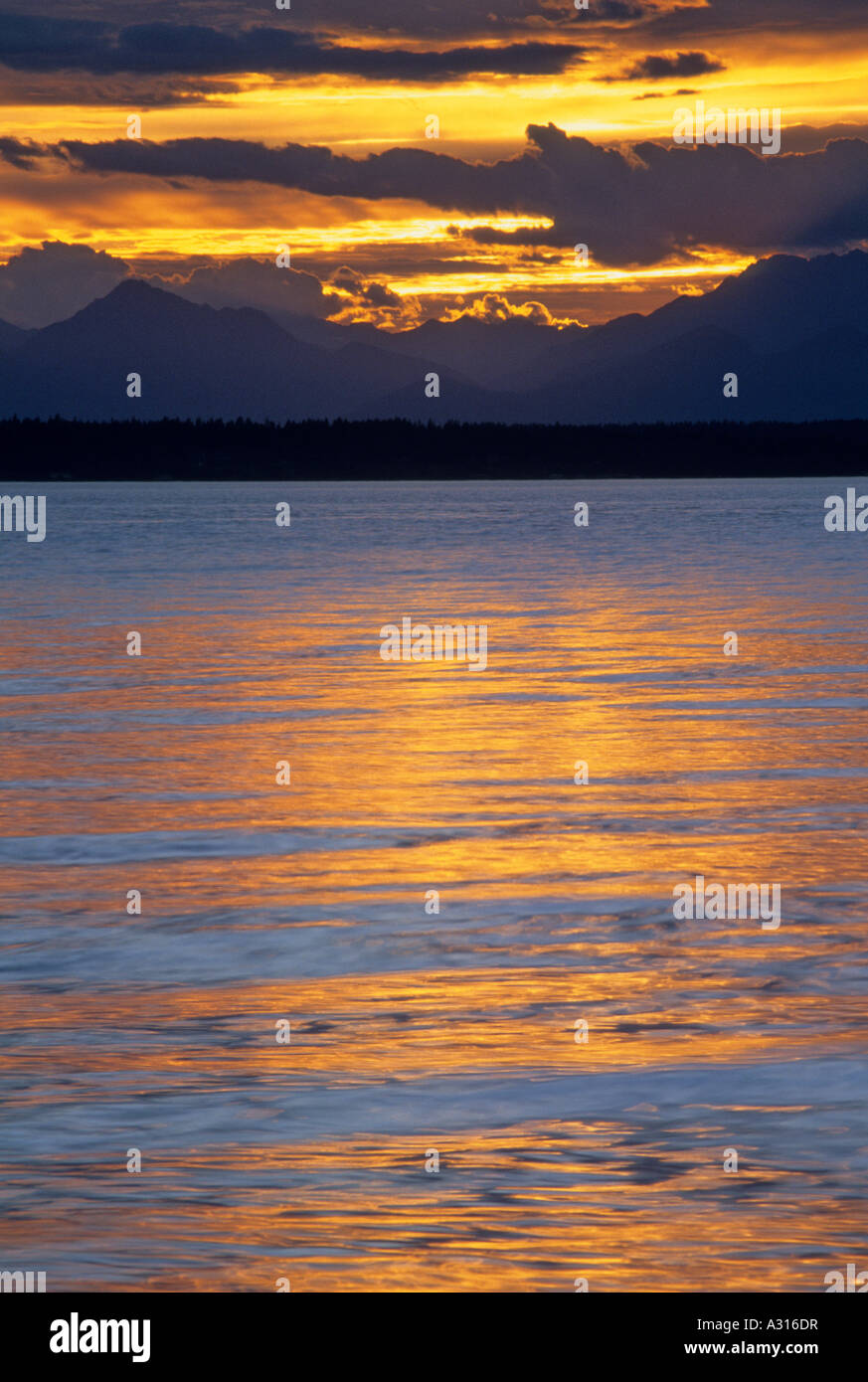 Sunset over Puget Sound and the Olympic Mountain Range at Golden ...