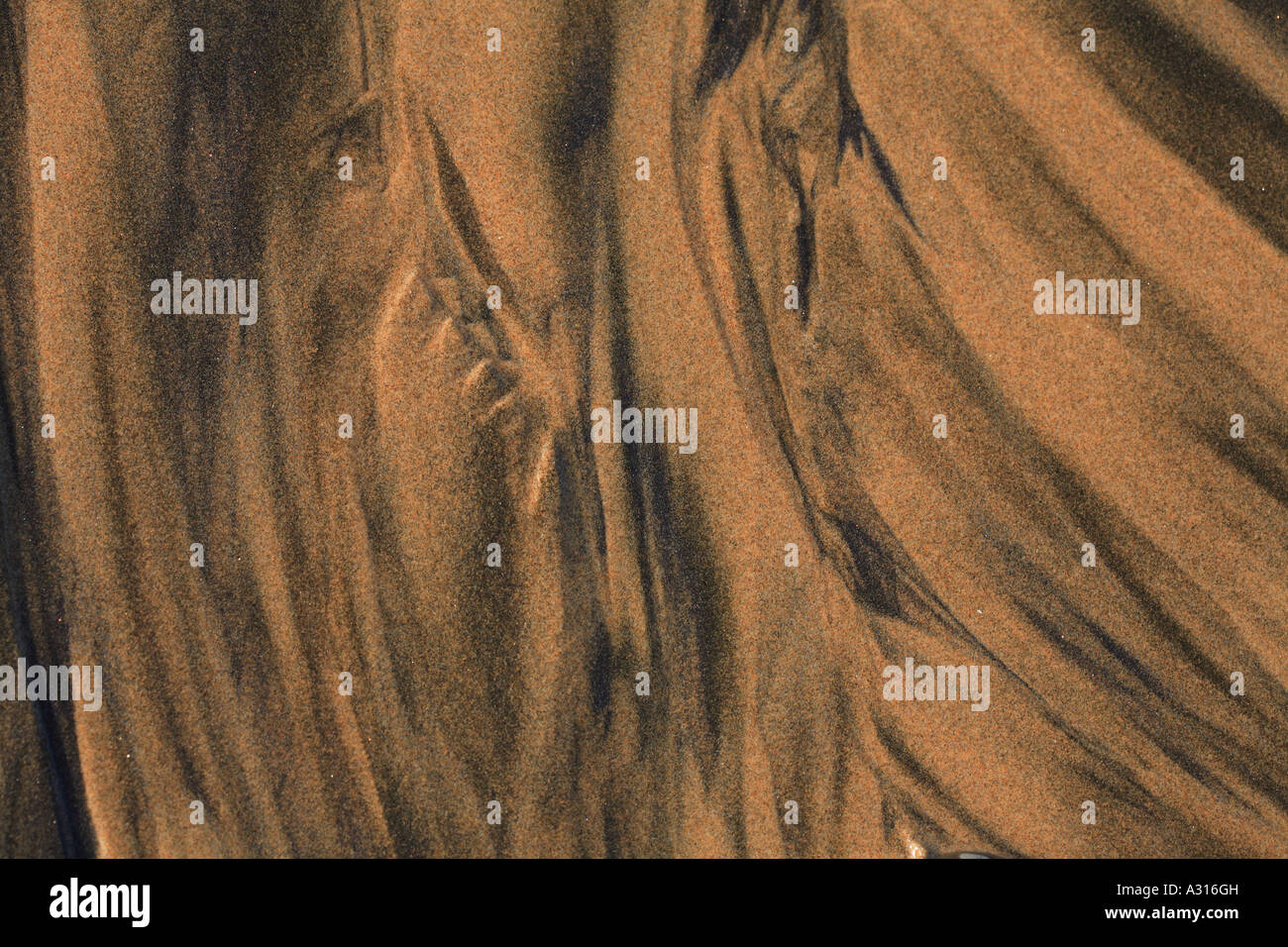 Sand on the Oregon Coast Stock Photo - Alamy