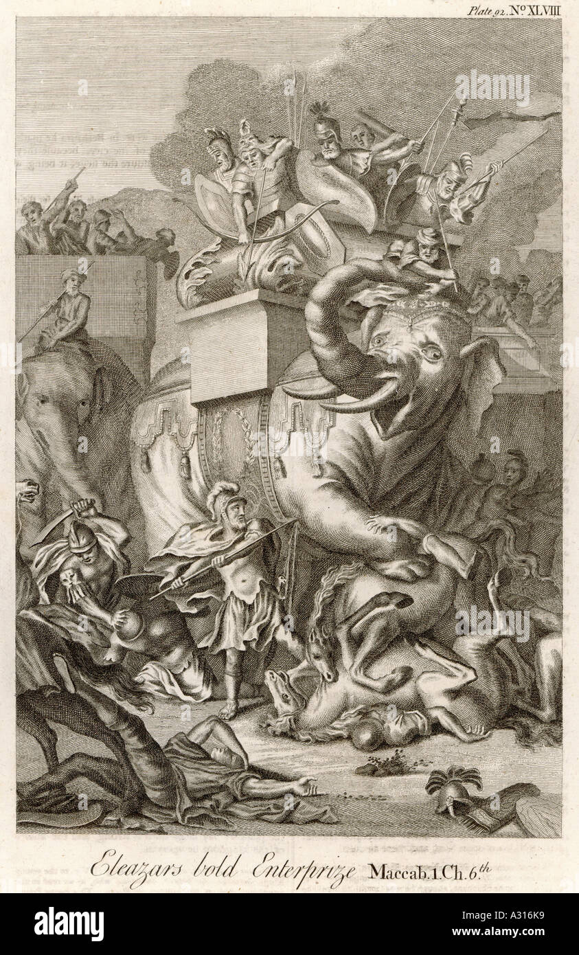 King on elephants hi-res stock photography and images - Alamy