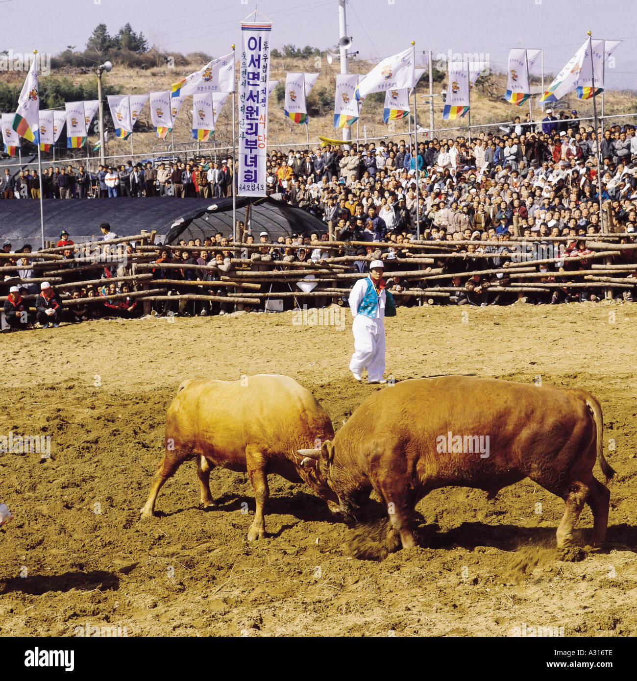 Traditionculture hi-res stock photography and images - Alamy