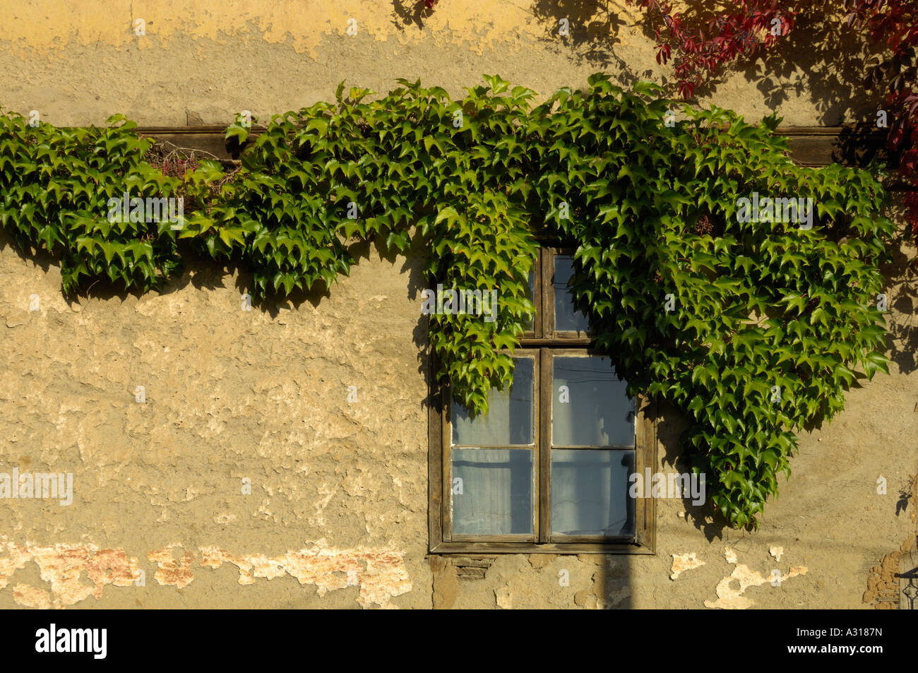 Mud plaster hi-res stock photography and images - Alamy