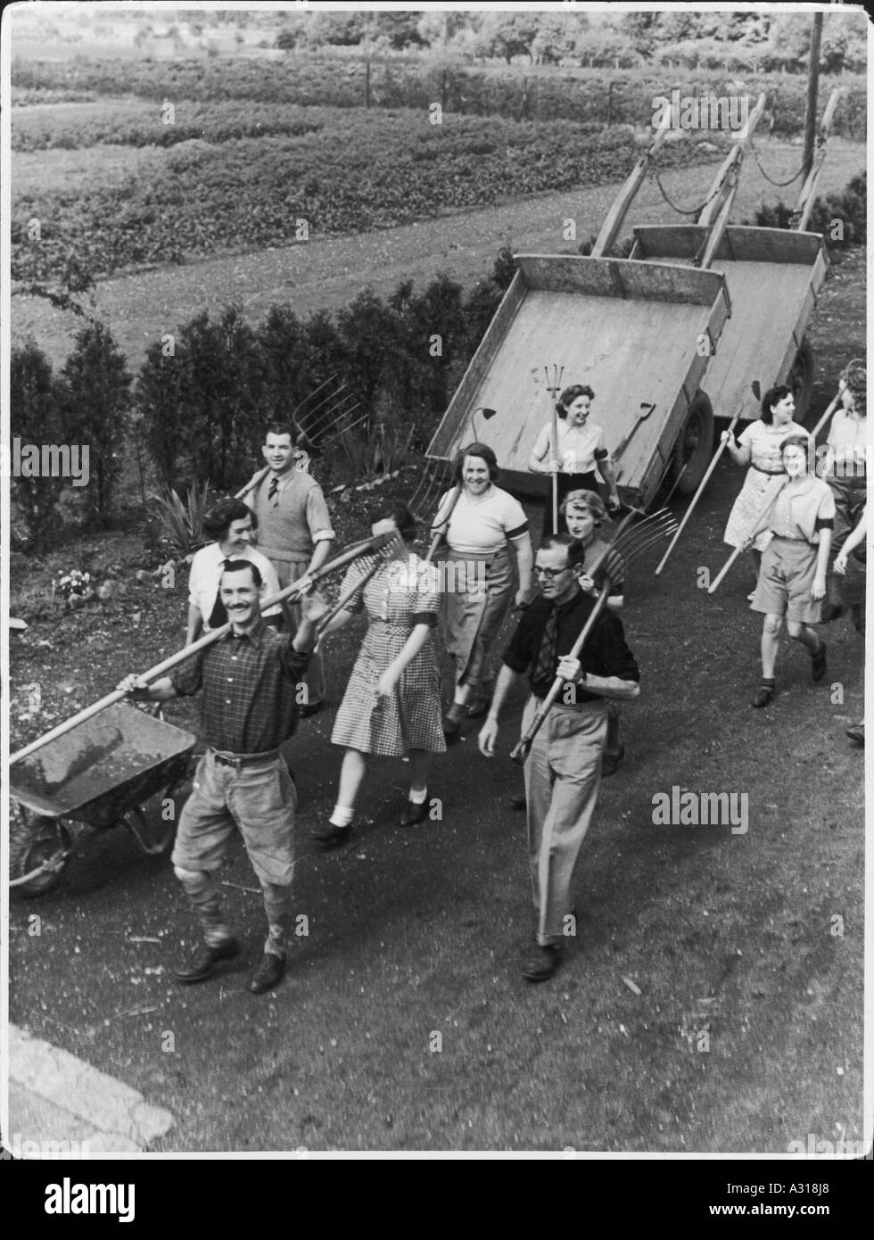 War allotments hi-res stock photography and images - Alamy