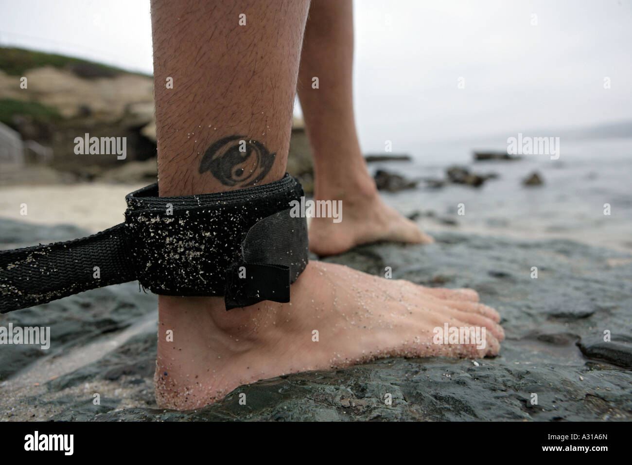 Safety strap on surfer's leg Stock Photo - Alamy