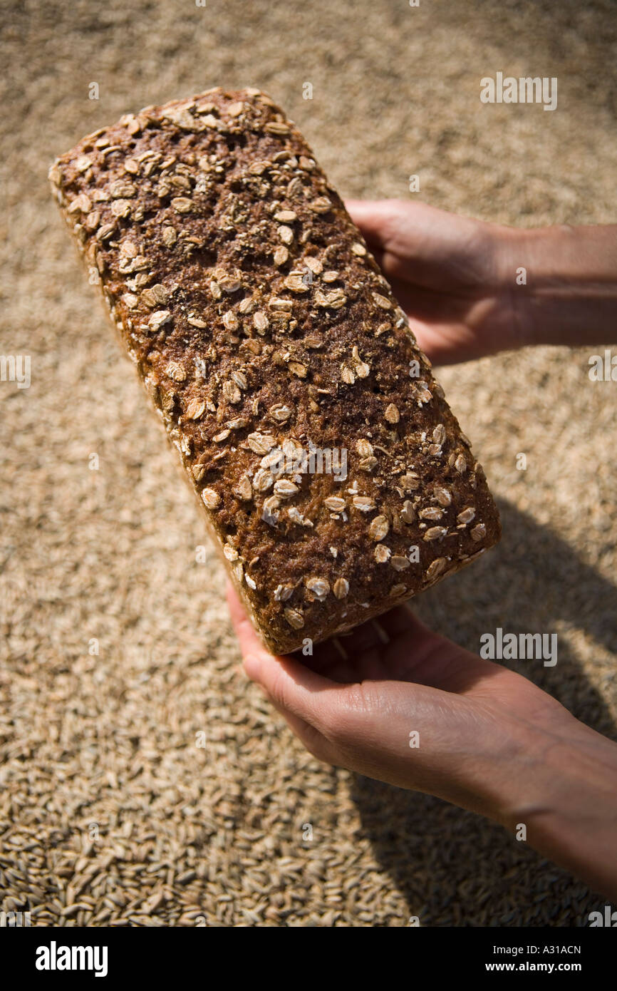 A loaf of bread held above a pile of grain Stock Photo - Alamy