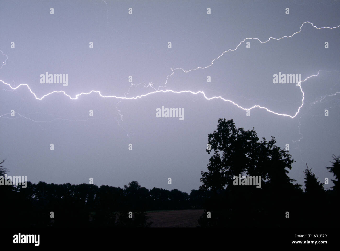 Lightning over trees Stock Photo - Alamy