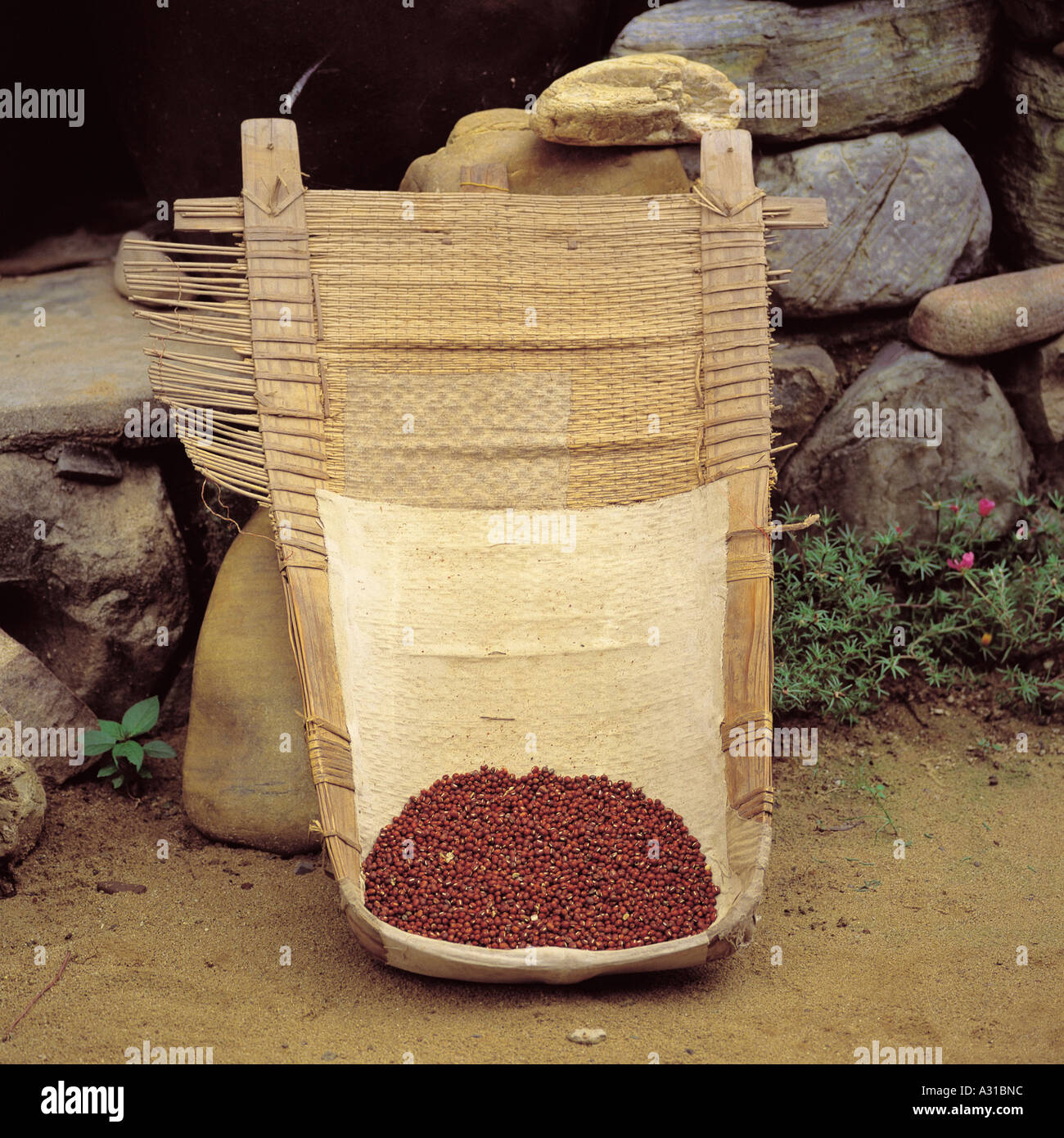 Stone implements hi-res stock photography and images - Alamy