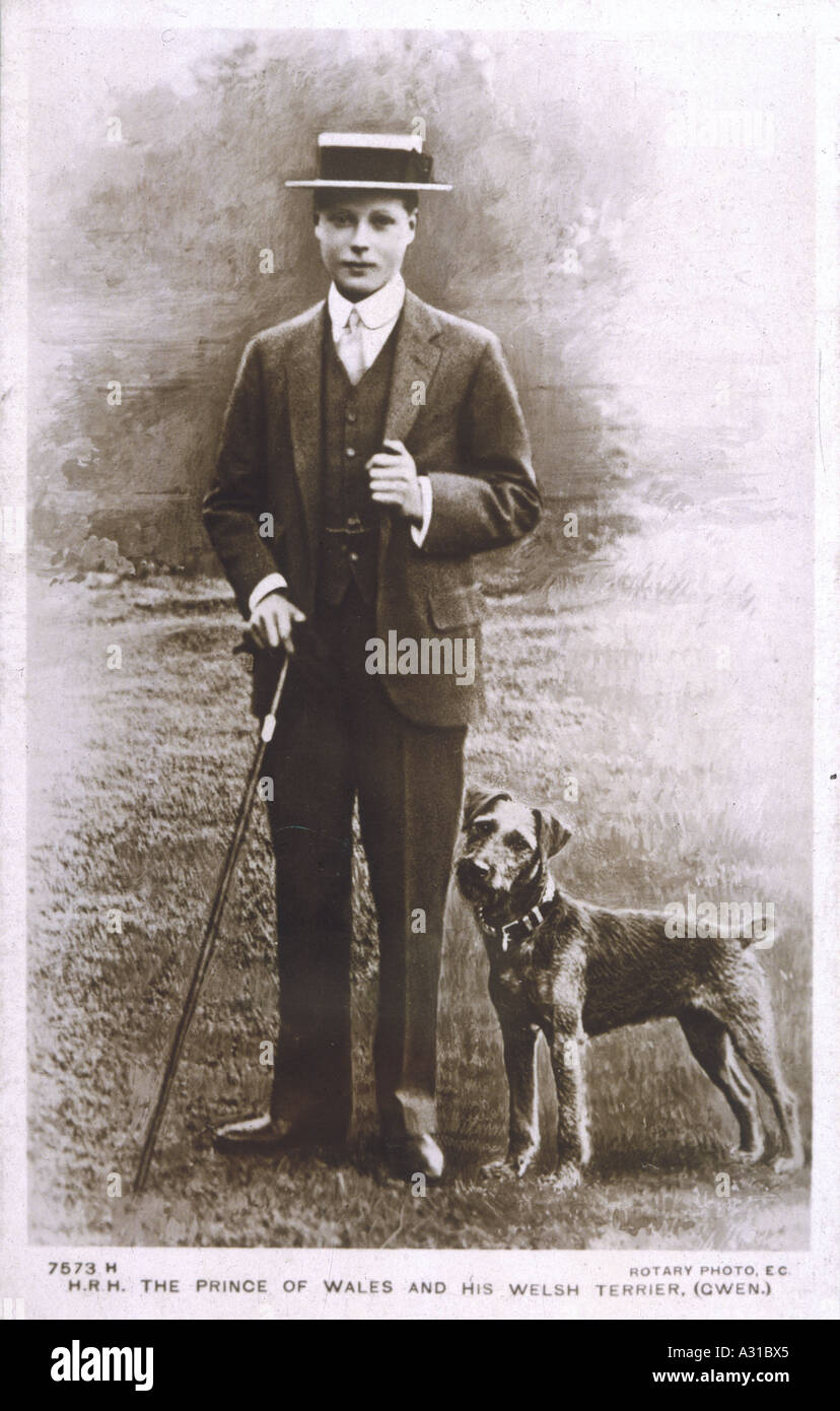 Edward Viii Dog Gwen 10 Stock Photo - Alamy
