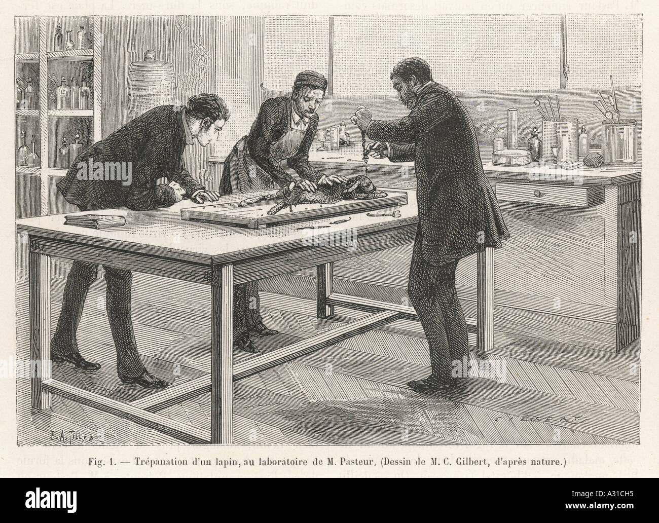 Louis pasteur 1822 1895 french chemist hi-res stock photography and ...