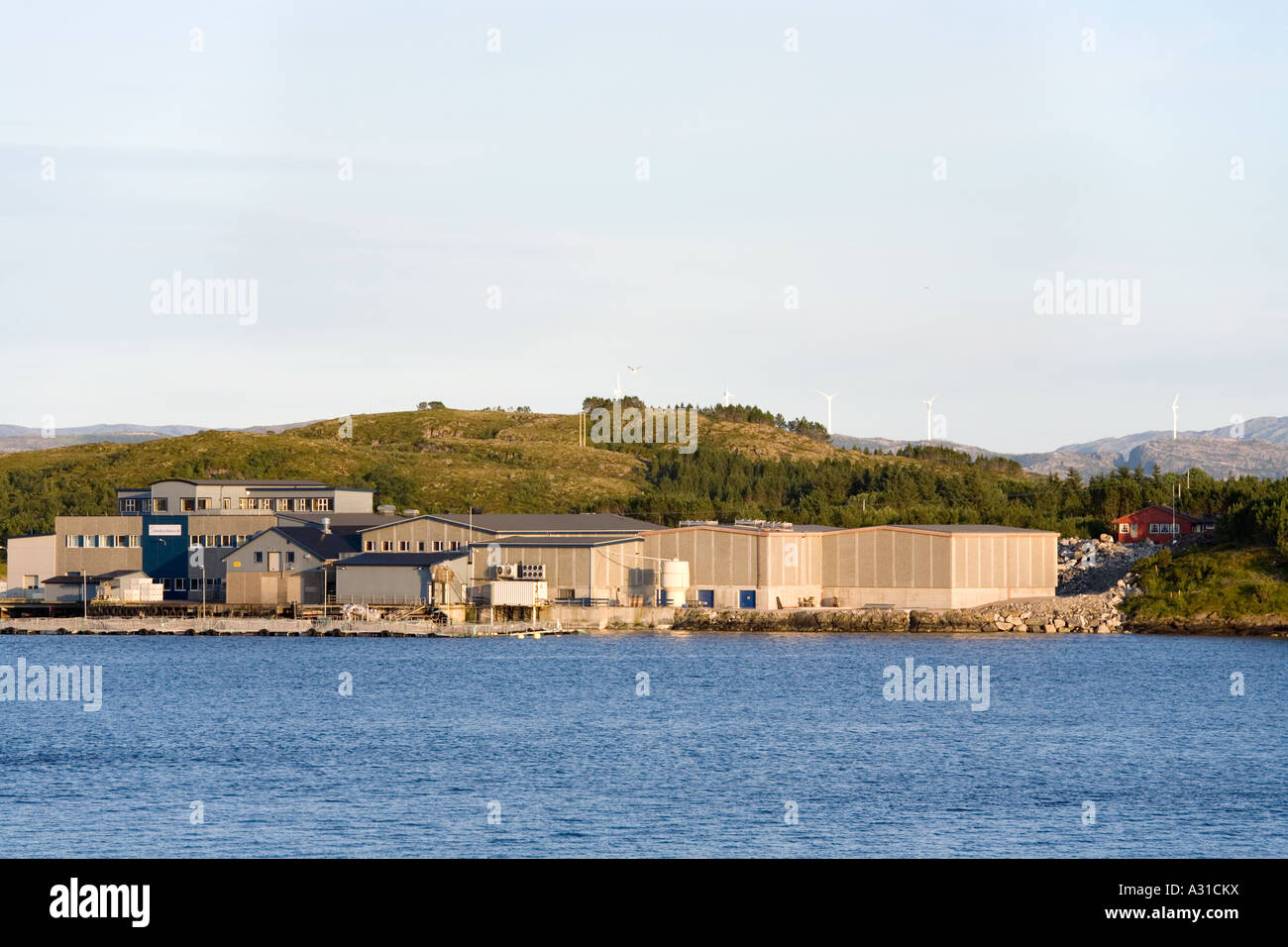 SinkaBerg Hansen AS, a salmon processing company at Rorvik, Norway ...
