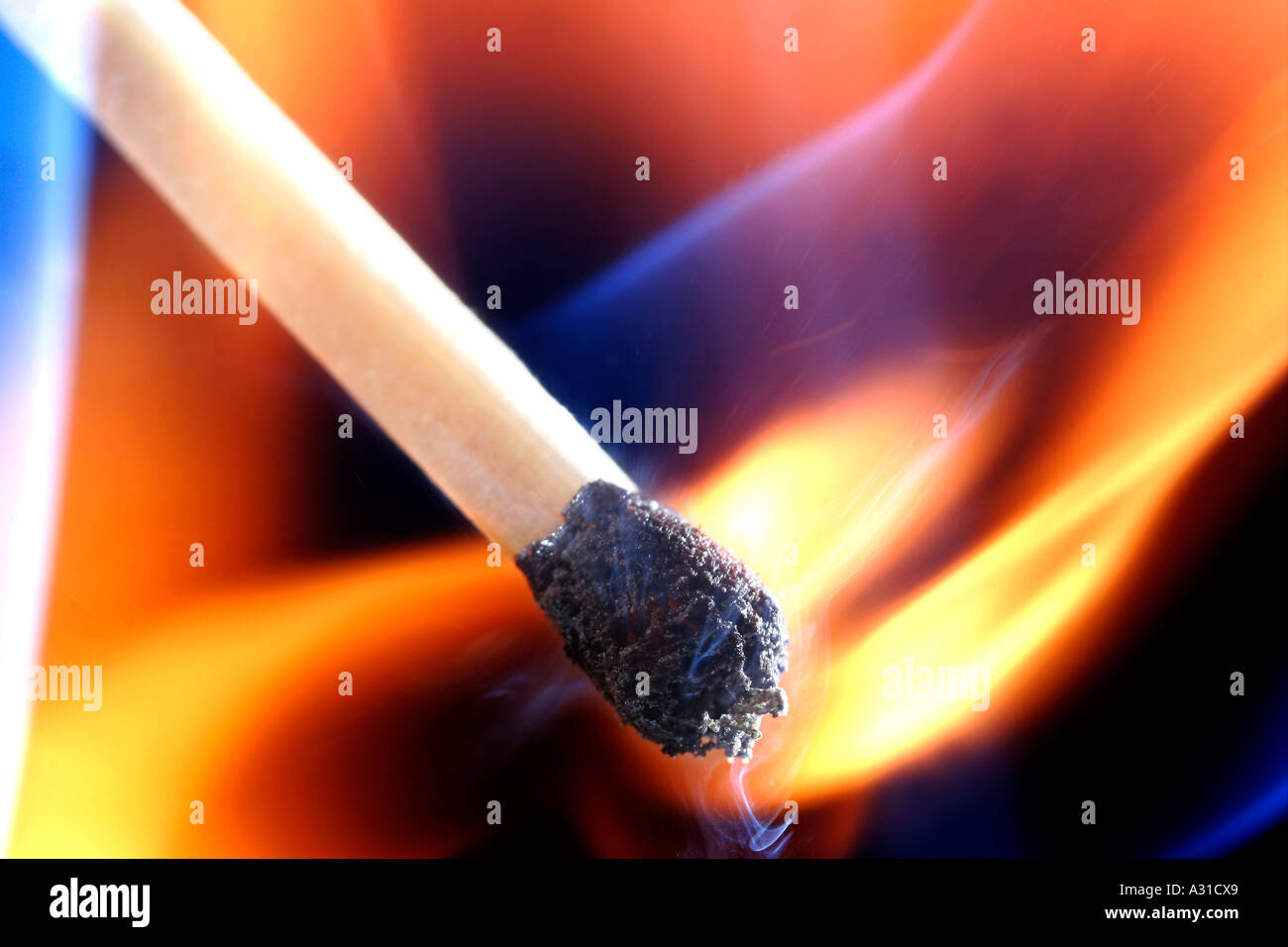 Close up of an ignited matchstick Stock Photo - Alamy