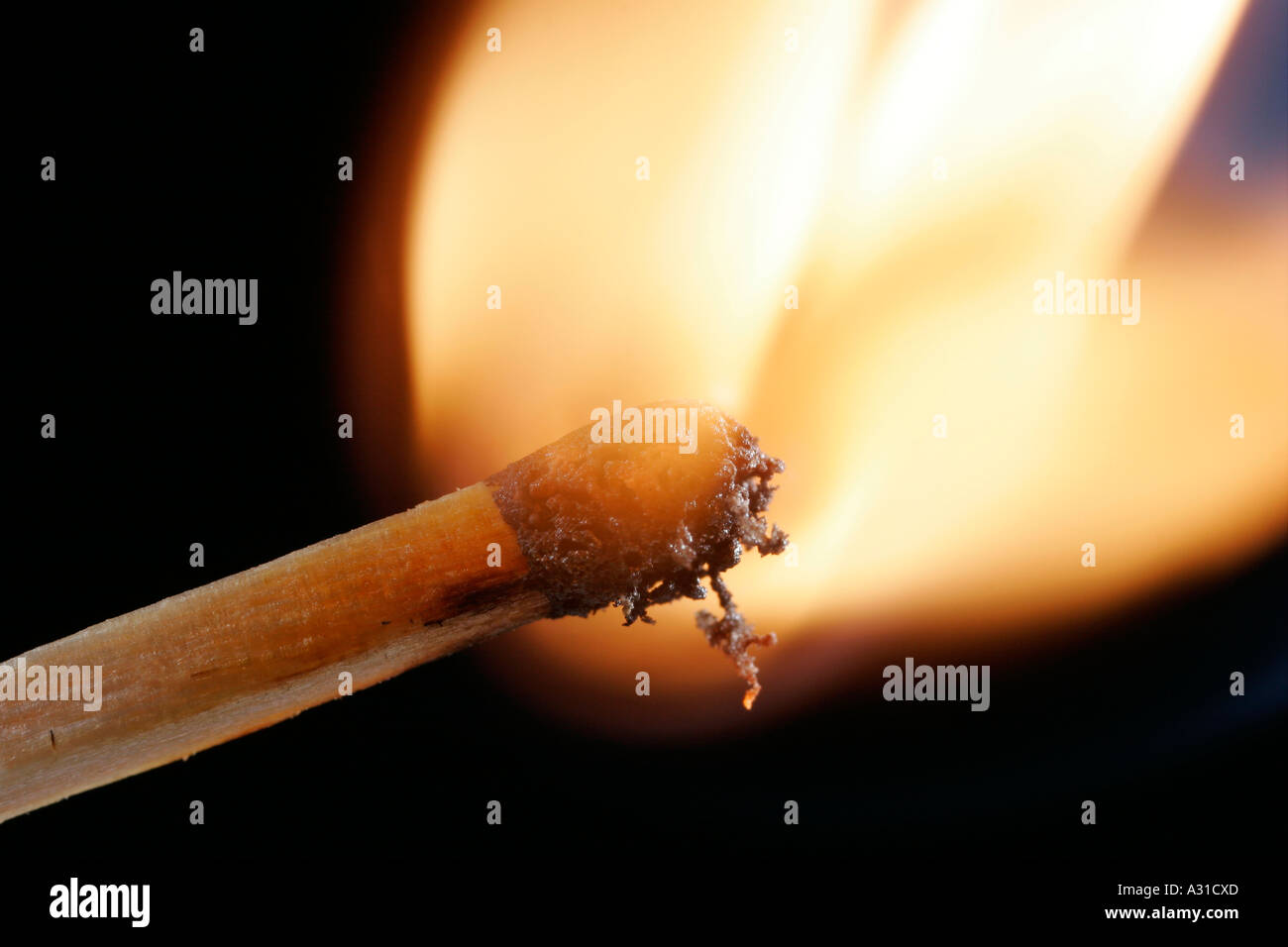 Close up of an ignited matchstick Stock Photo - Alamy