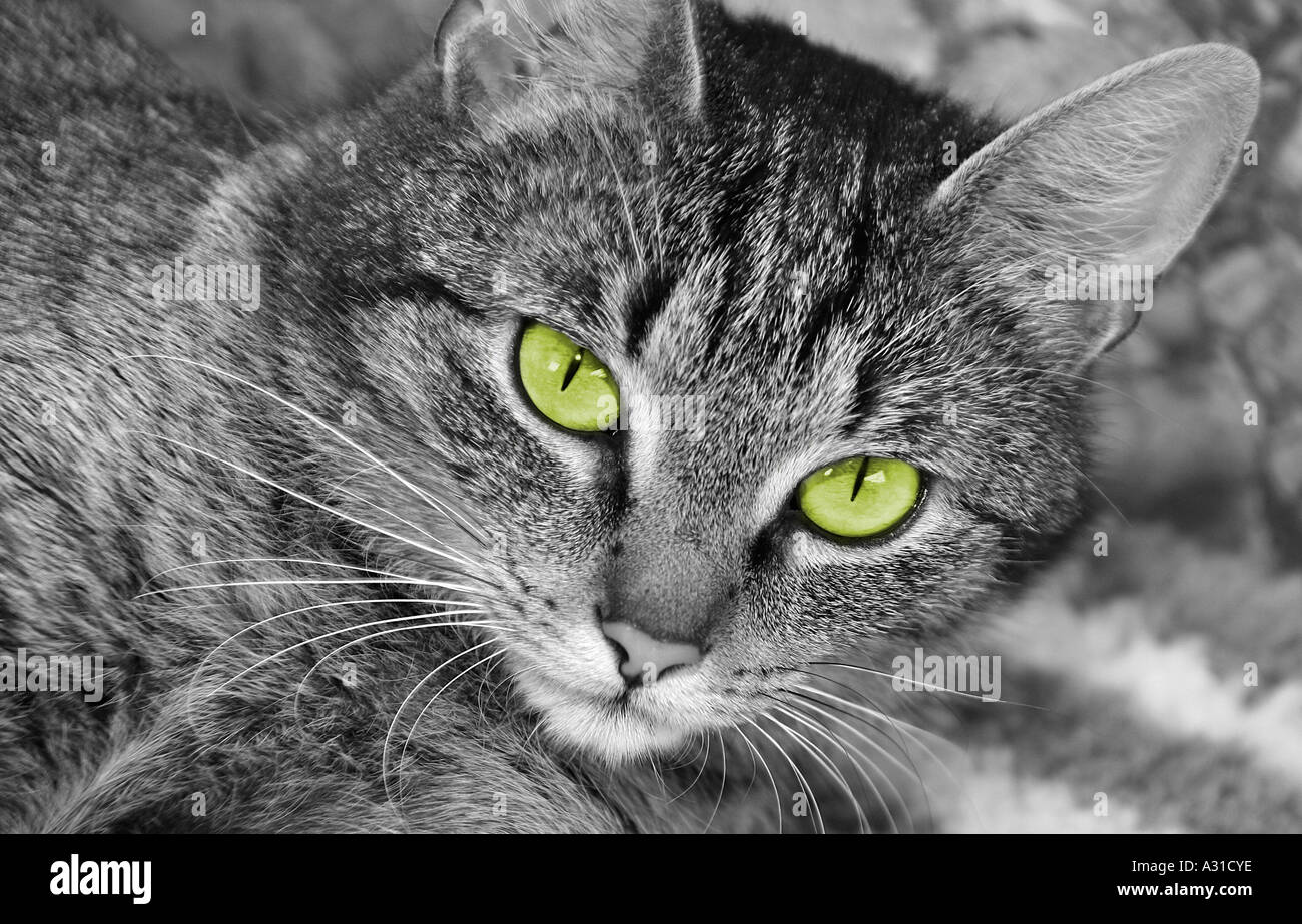 Farbveraendert hi-res stock photography and images - Alamy