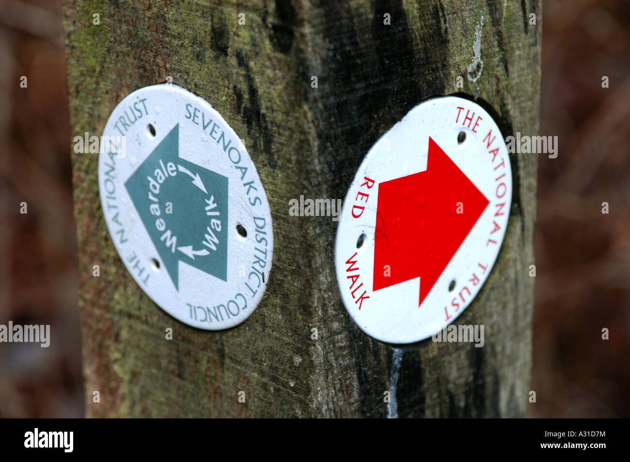 Circular Walking Signs In A Kent Wood Stock Photo Alamy circular-walking-signs-in-a-kent-wood-stock-photo-alamy