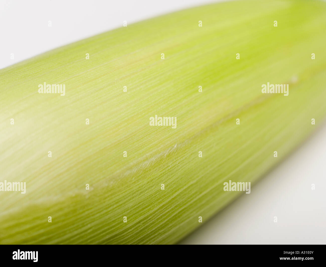 Sweet corn in husk Stock Photo - Alamy