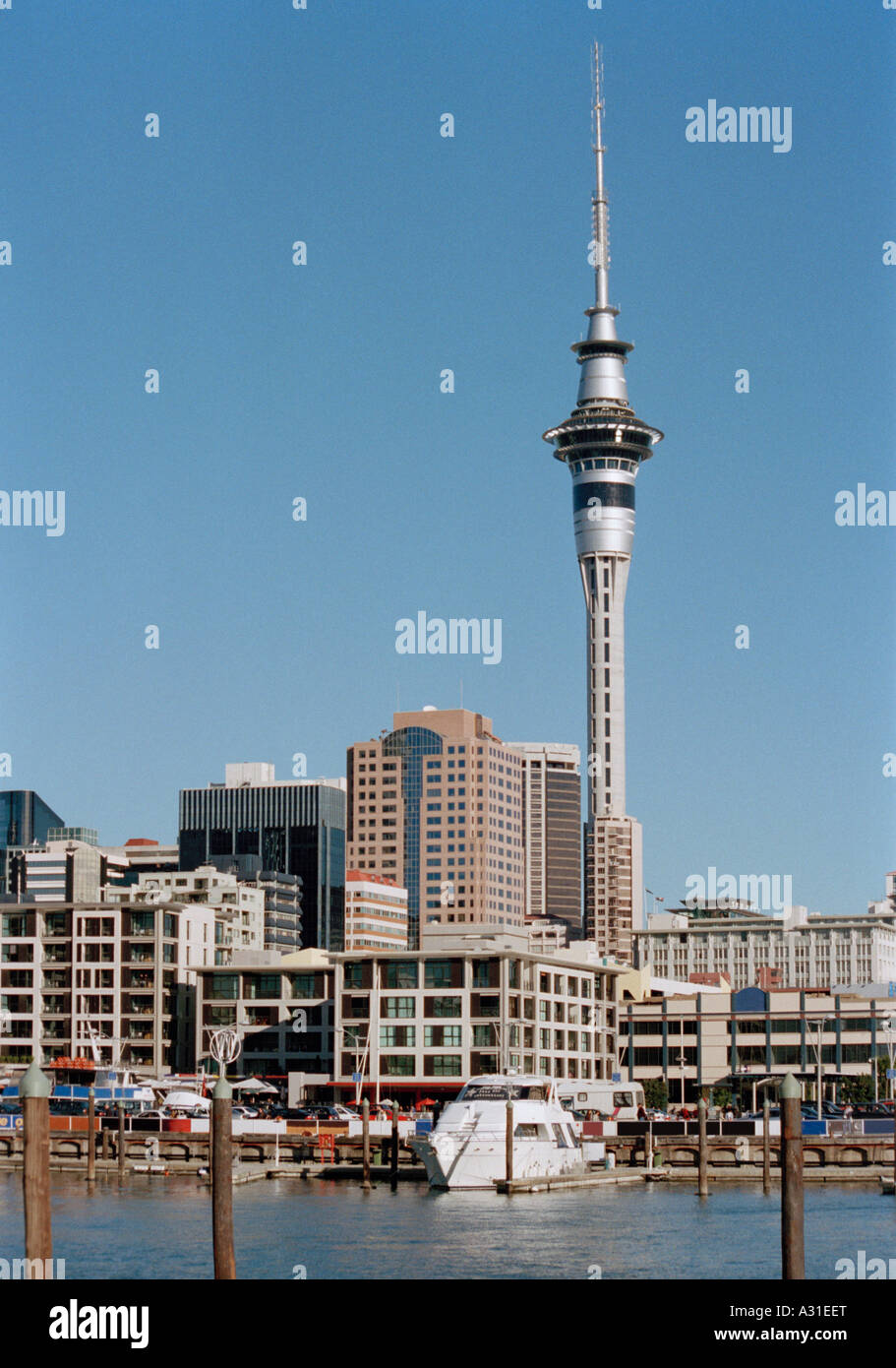 Sky Tower and harbor Auckland New Zealand Stock Photo - Alamy