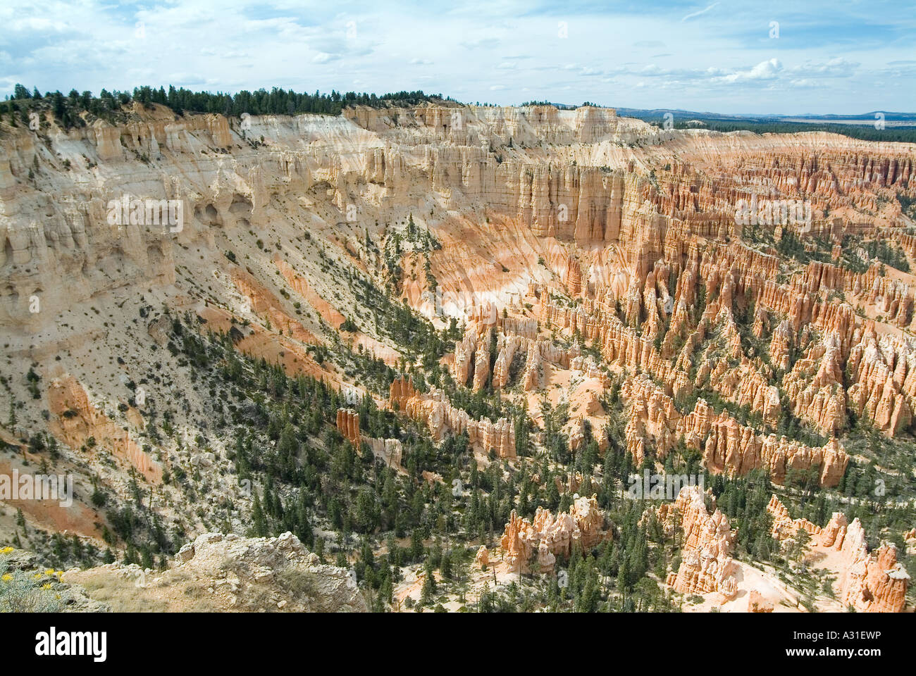 Bryce Amphitheater from Bruce Point. Bryce Canyon National Park. Utah ...