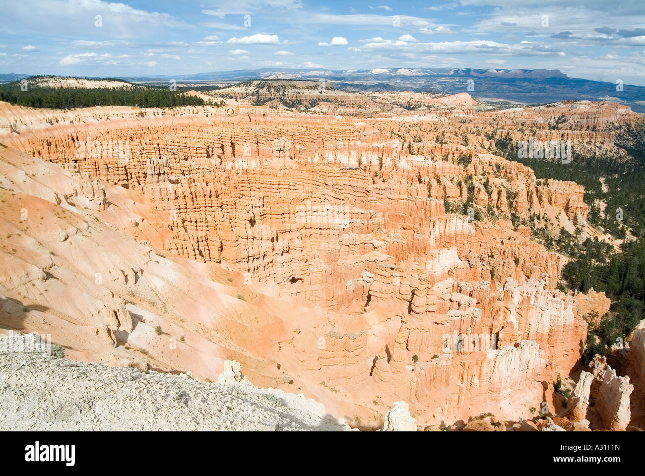 Bryce Amphitheater. Bryce Canyon National Park. Utah. USA Stock Photo ...
