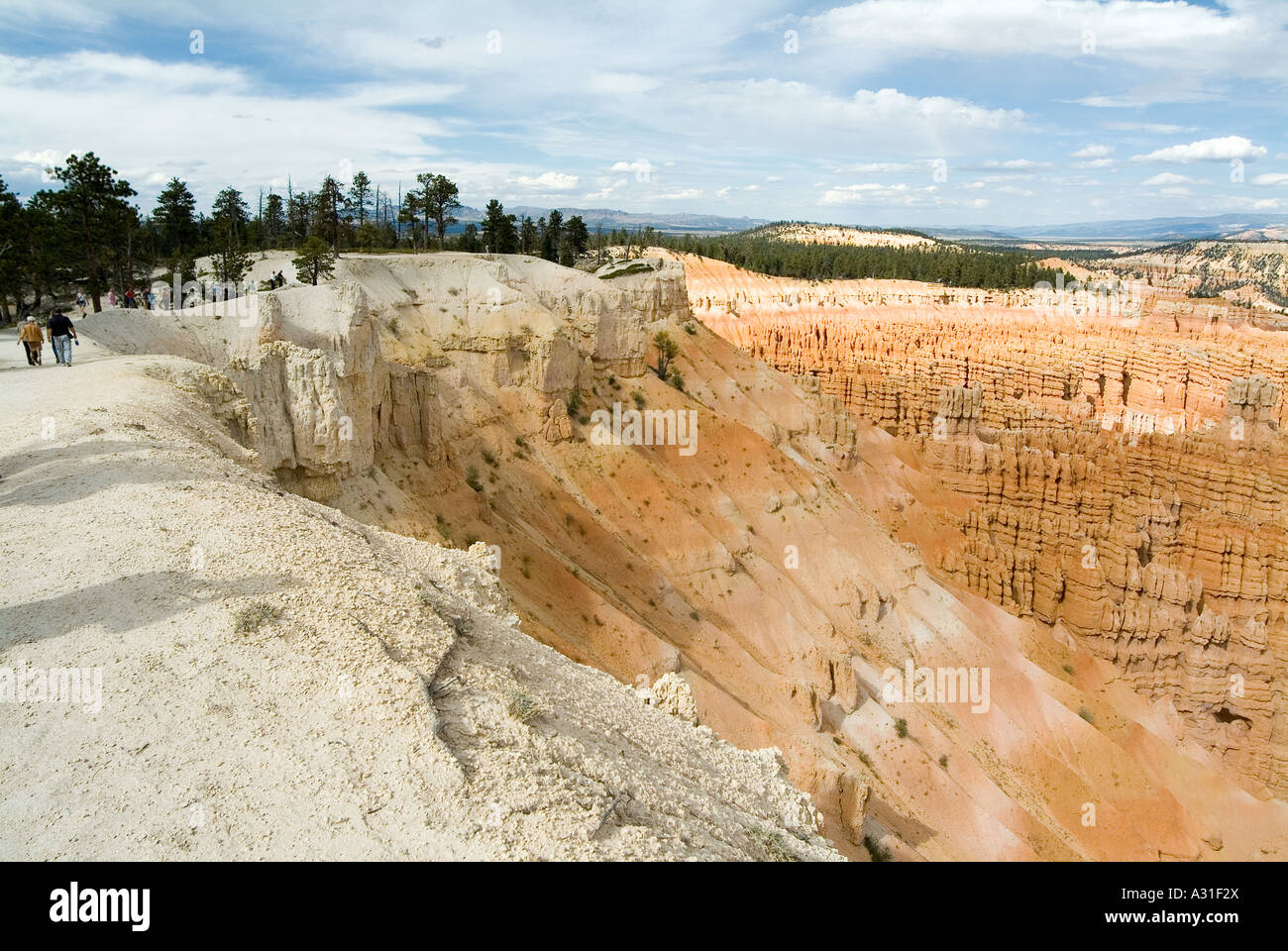 Bryce Amphitheater. Bryce Canyon National Park. Utah. USA Stock Photo ...