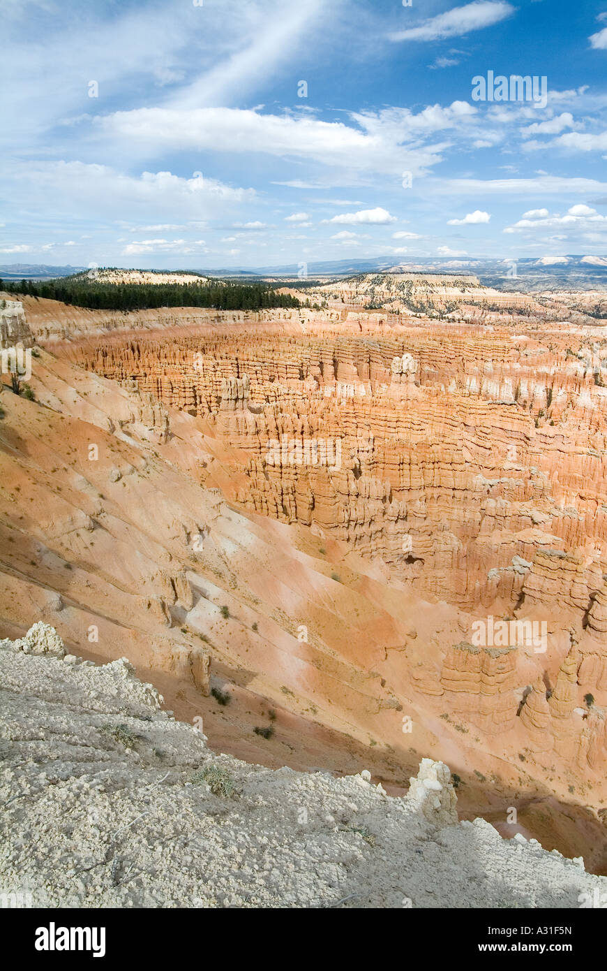 Bryce Amphitheater. Bryce Canyon National Park. Utah. USA Stock Photo ...