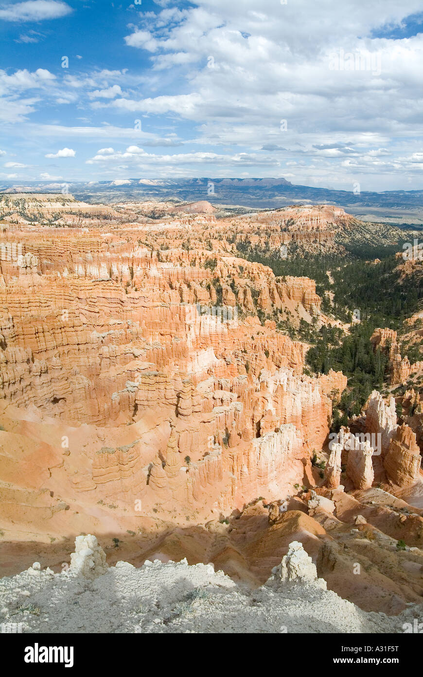 Bryce Amphitheater. Bryce Canyon National Park. Utah. USA Stock Photo ...