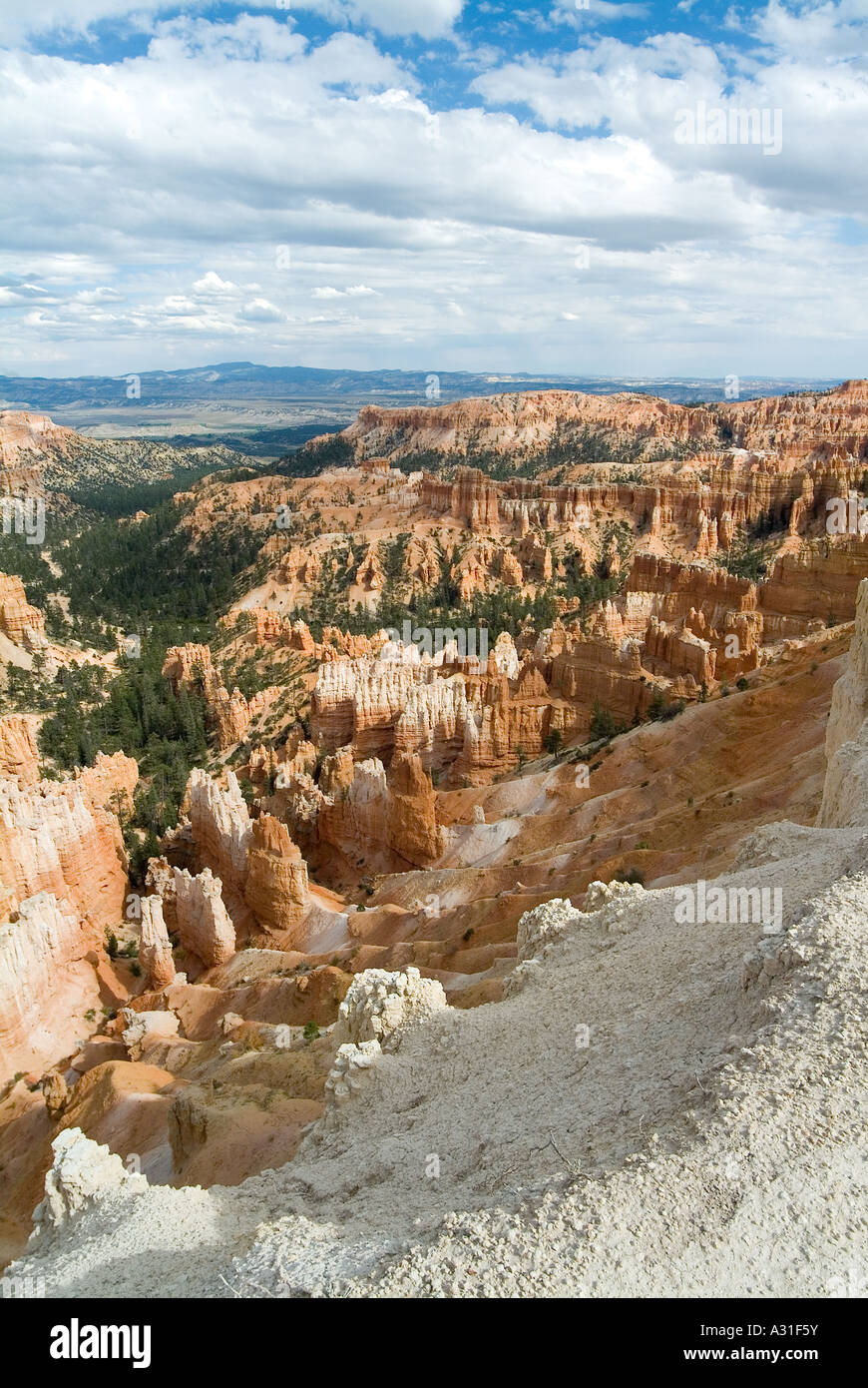 Bryce Amphitheater. Bryce Canyon National Park. Utah. USA Stock Photo ...