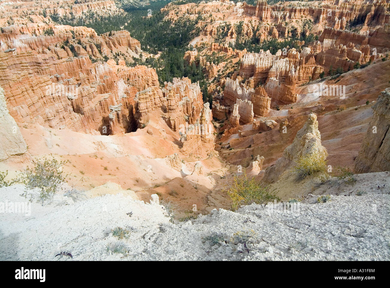 Bryce Amphitheater. Bryce Canyon National Park. Utah. USA Stock Photo ...