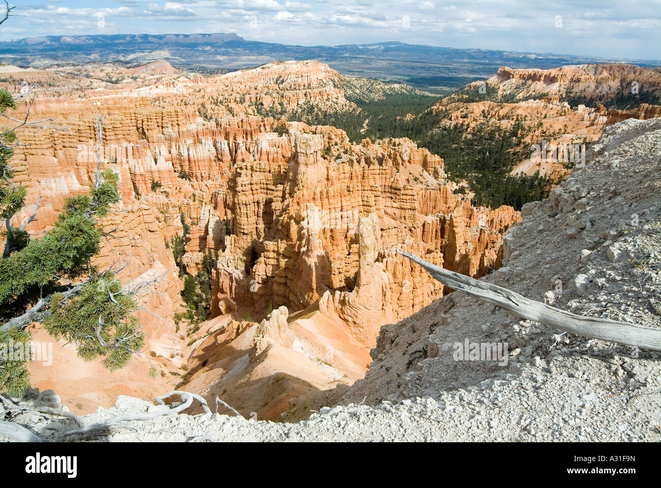 Bryce Amphitheater. Bryce Canyon National Park. Utah. USA Stock Photo ...