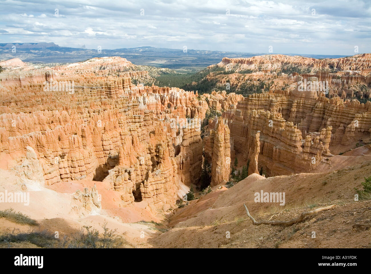 Bryce Amphitheater. Bryce Canyon National Park. Utah. USA Stock Photo ...
