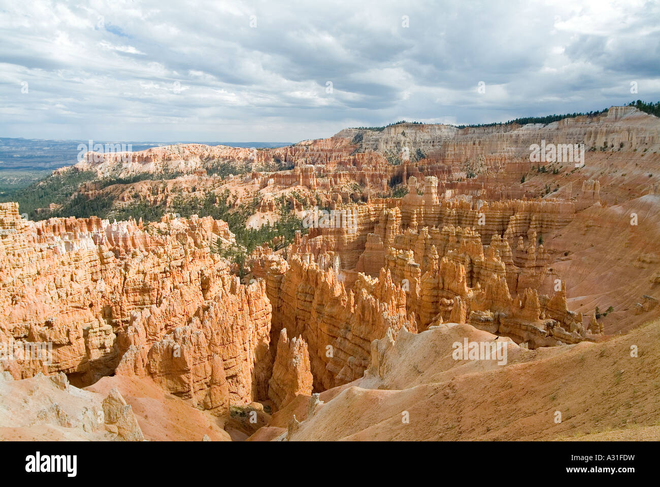 Bryce Amphitheater. Bryce Canyon National Park. Utah. USA Stock Photo ...