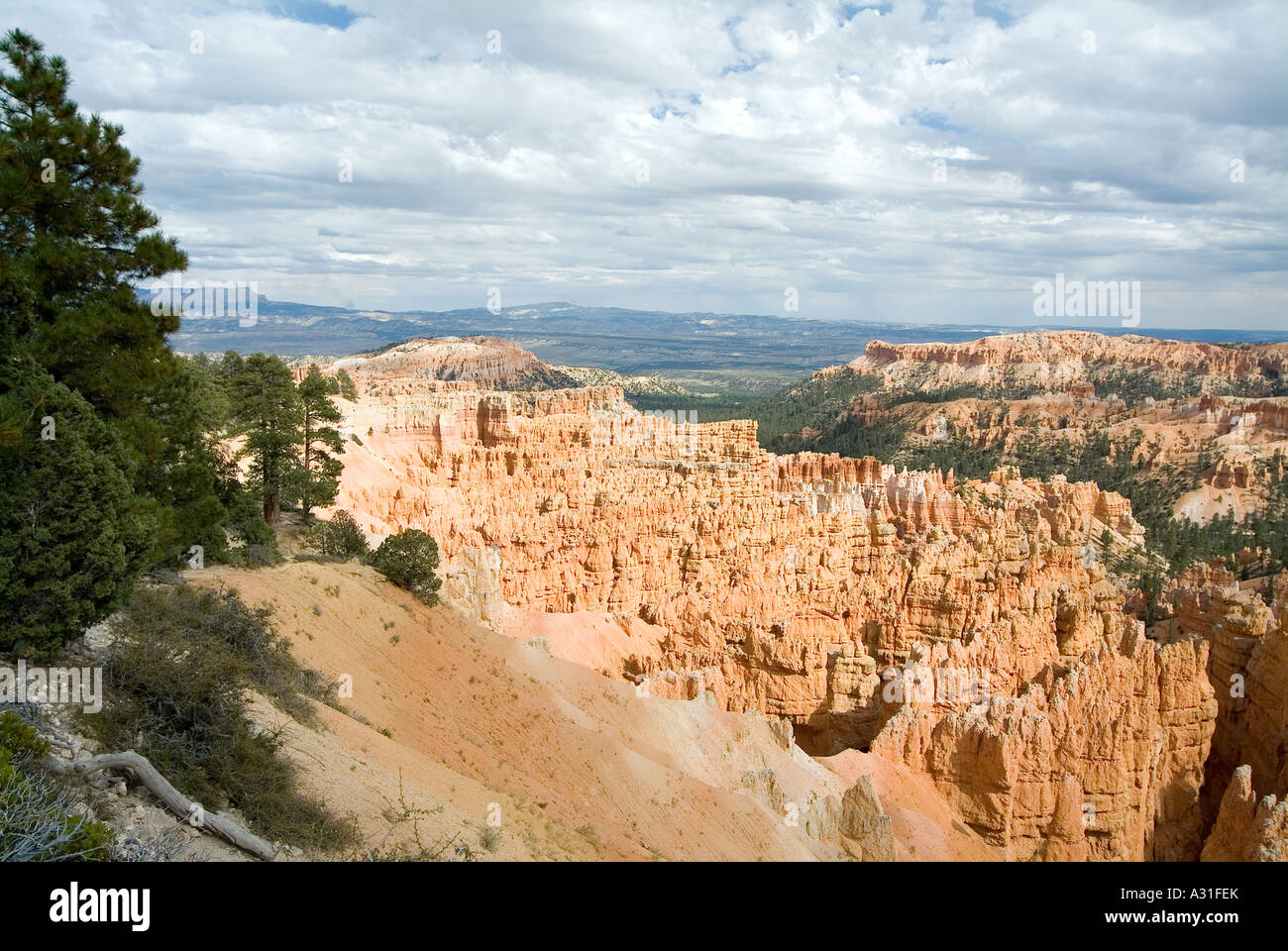 Bryce Amphitheater. Bryce Canyon National Park. Utah. USA Stock Photo ...
