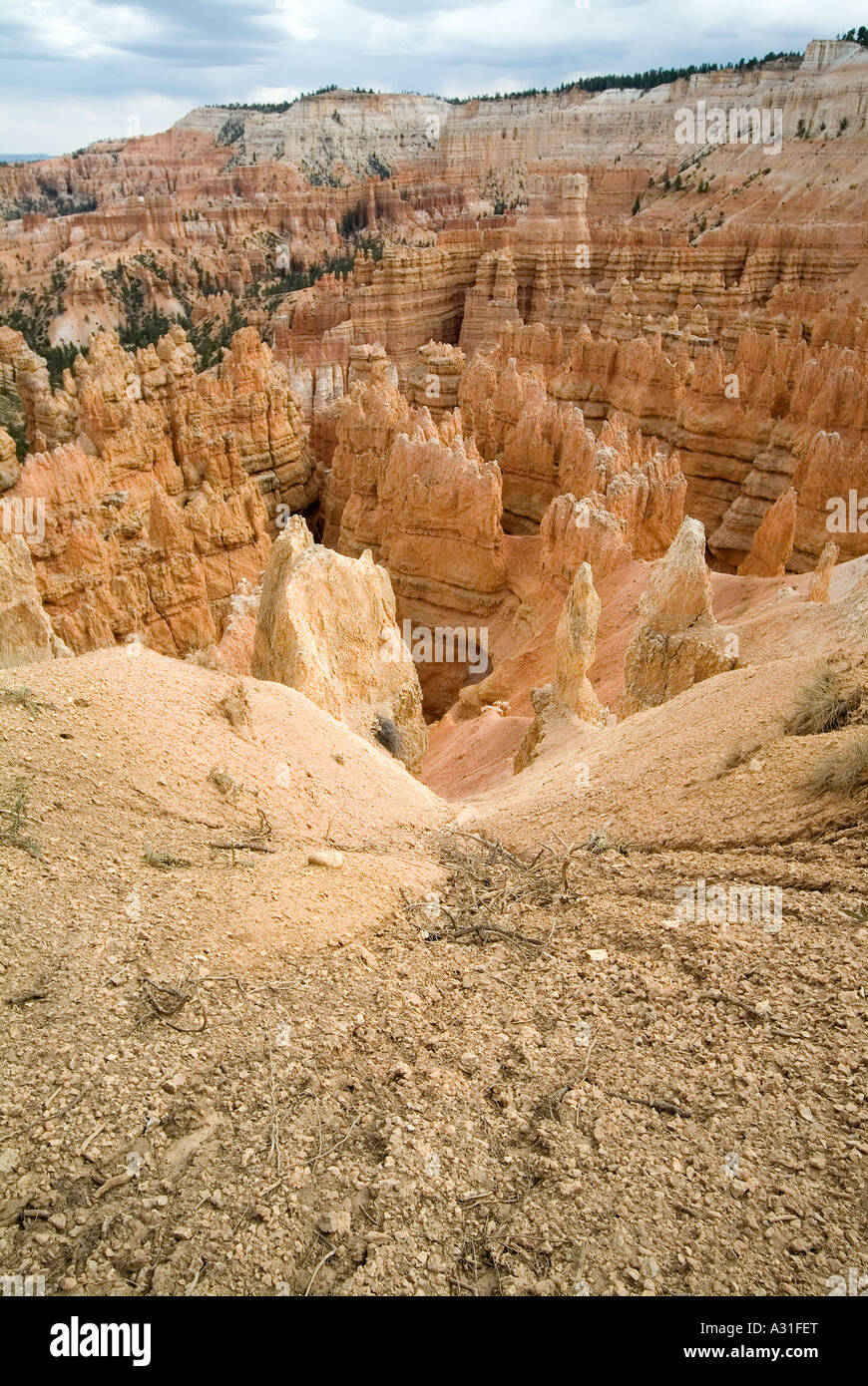 Bryce Amphitheater. Bryce Canyon National Park. Utah. USA Stock Photo ...