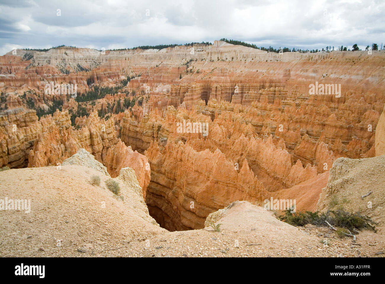 Bryce Amphitheater. Bryce Canyon National Park. Utah. USA Stock Photo ...