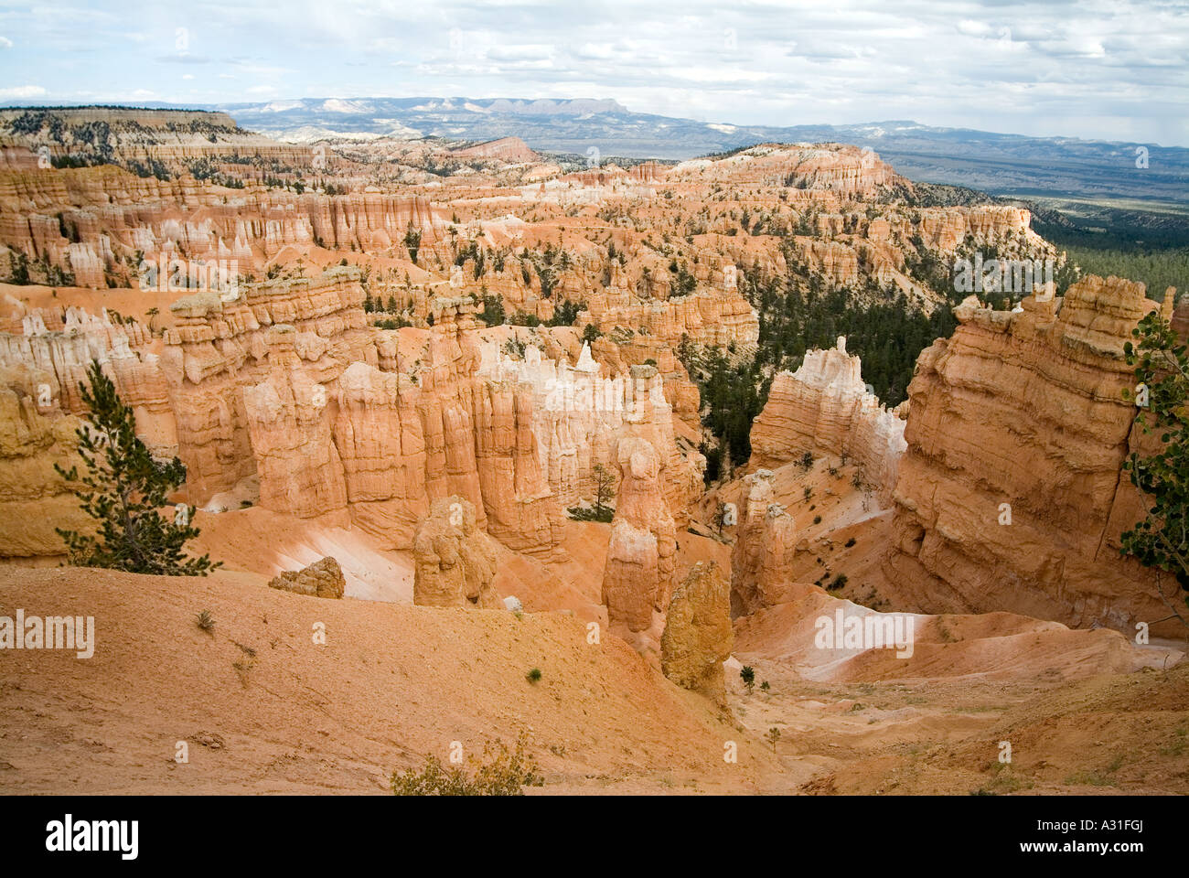 Bryce Amphitheater. Bryce Canyon National Park. Utah. USA Stock Photo ...