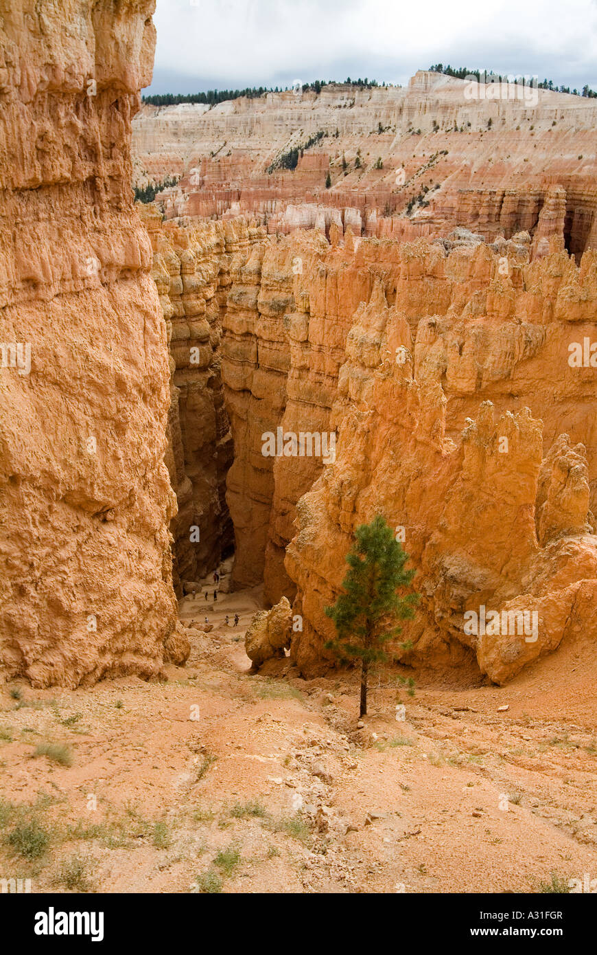Navajo Loop. Bryce Canyon National Park. Utah. USA Stock Photo - Alamy