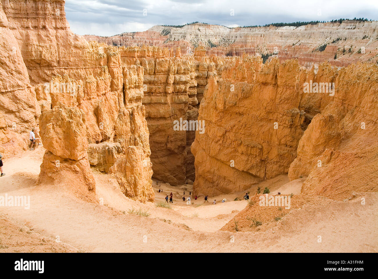 Navajo Loop. Bryce Canyon National Park. Utah. USA Stock Photo - Alamy